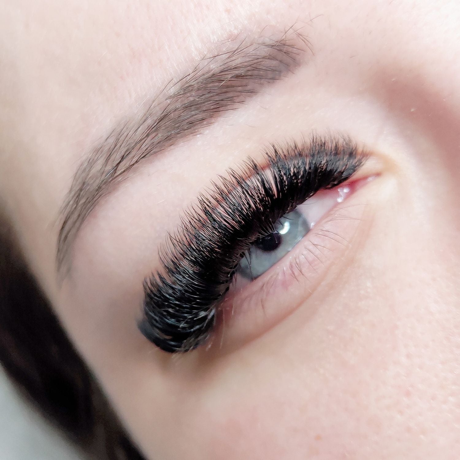 Shop 10D Volume Lash Extensions – Lash Jungle