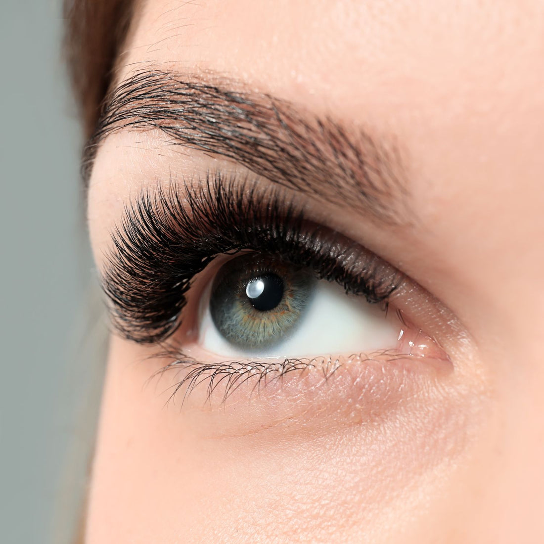 Shop 14D Premade Volume Lash Extensions – Lash Jungle