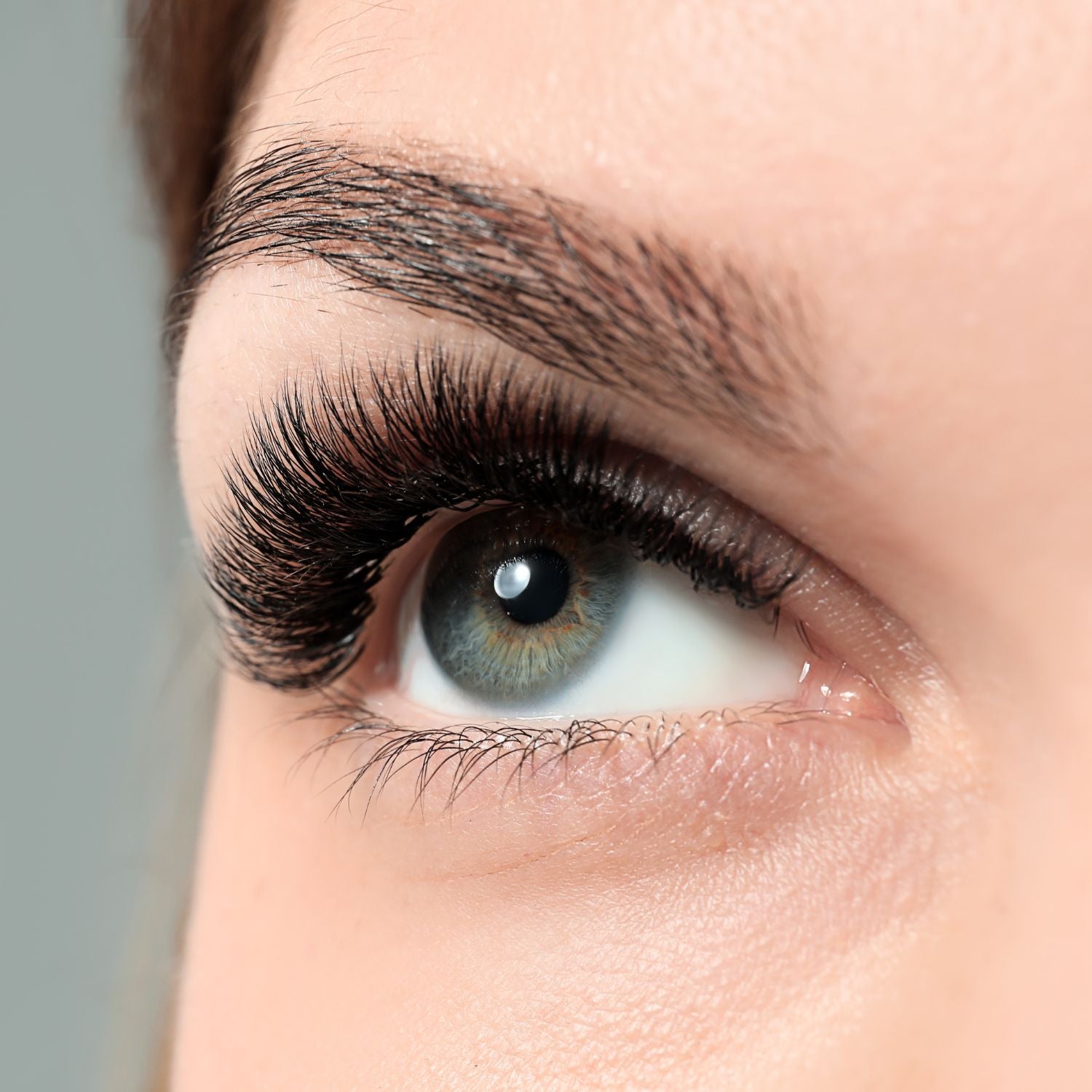 Shop 14D Premade Volume Lash Extensions