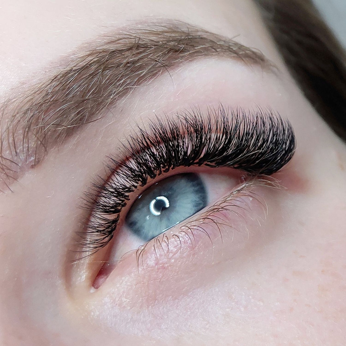 Shop 5D Premade Volume Lash Extensions – Lash Jungle