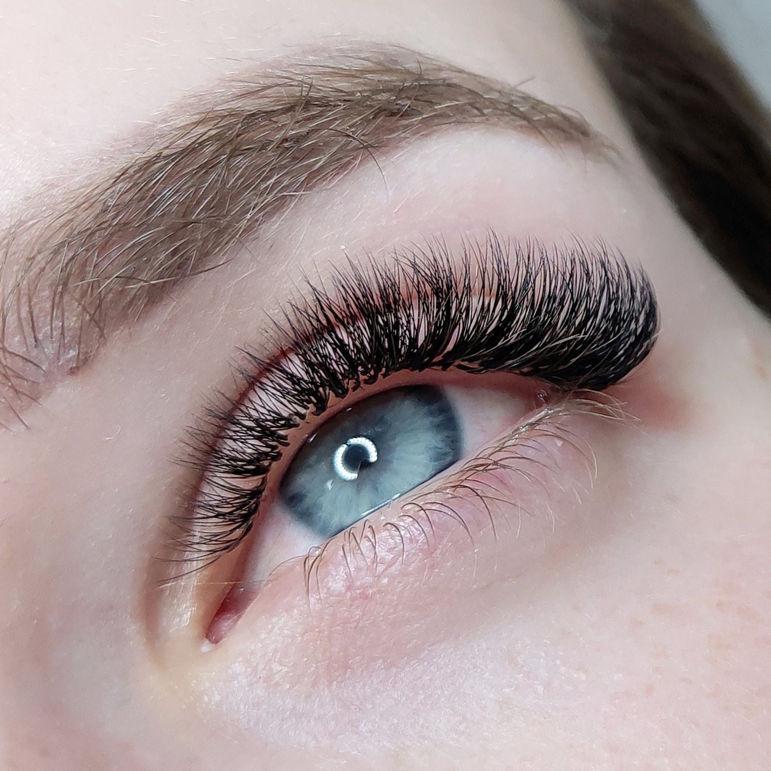Shop 5D Premade Volume Lash Extensions – Lash Jungle