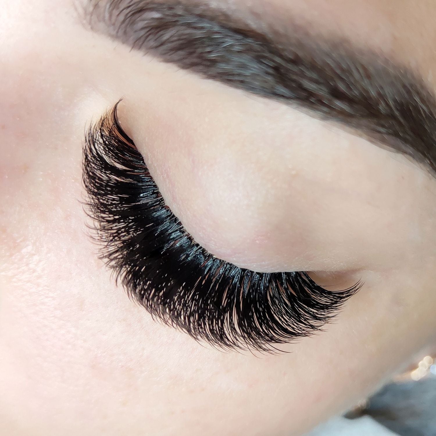 Shop 8D Premade Volume Lash Extensions – Lash Jungle