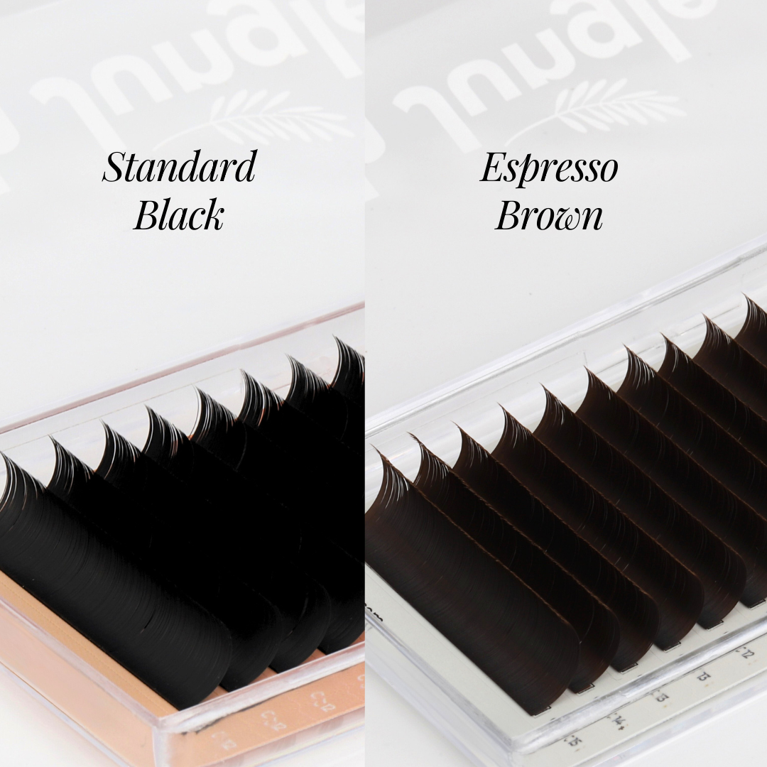 Espresso Brown Flat Lashes – Lash Jungle