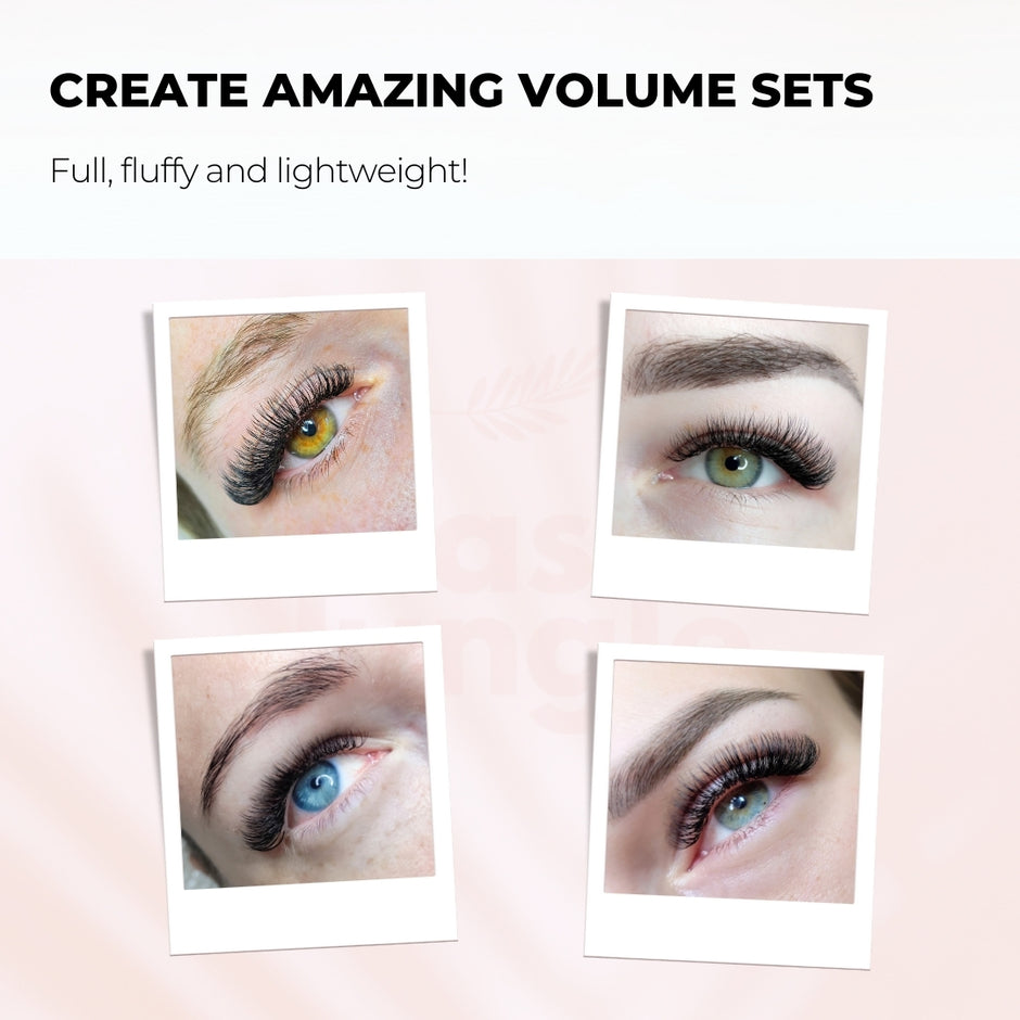 Shop Loose Promade Lash Fans – Lash Jungle