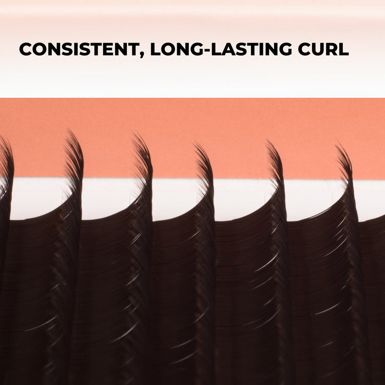 Shop Classic Lash Extensions Online – Lash Jungle